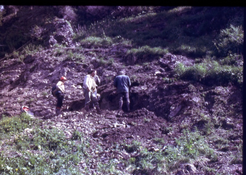 Gordon and Marilyn Herreid
